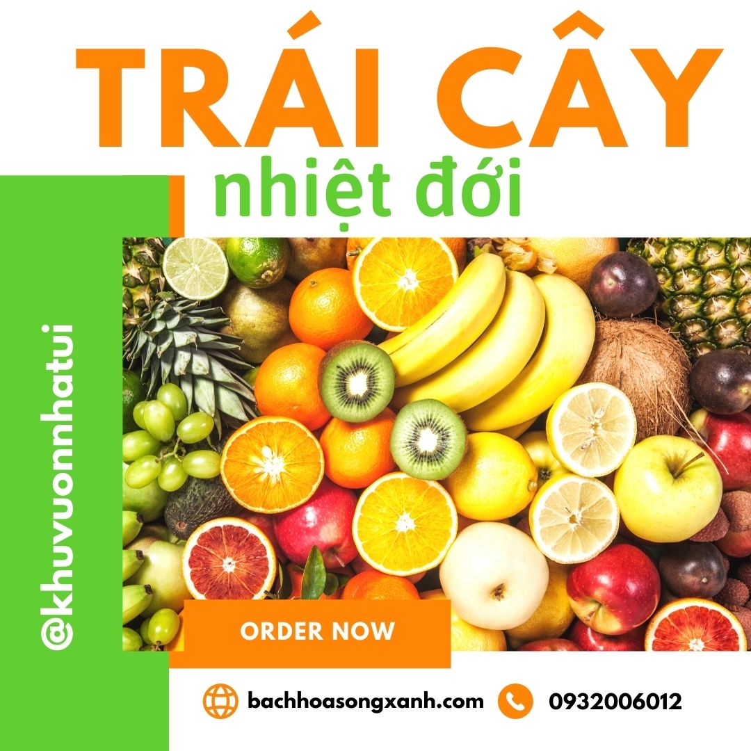 TRÁI CÂY - Khu Vườn Nhà Tui